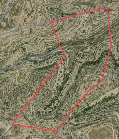 Sonora, Sutton County, TX Farms and Ranches, Undeveloped Land, Hunting ...
