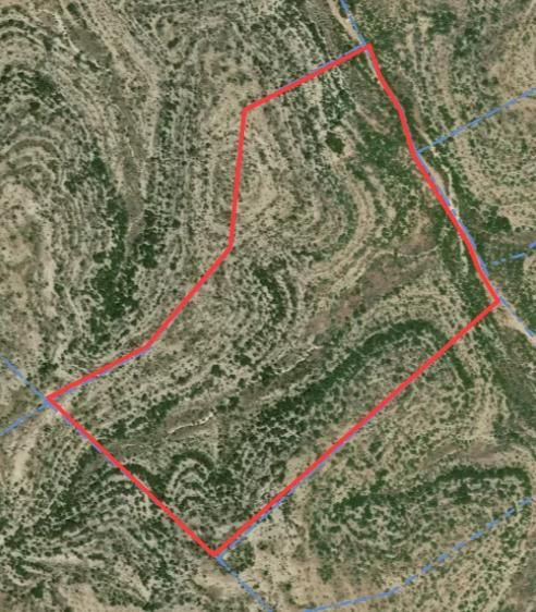 Sonora, Sutton County, TX Farms and Ranches, Undeveloped Land, Hunting ...