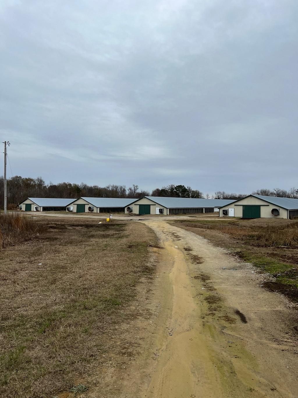 4320 State Line Road, Bennettsville, SC 29512 | LandWatch