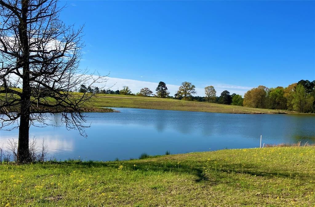 Big Sandy, Upshur County, TX Undeveloped Land, Lakefront Property ...