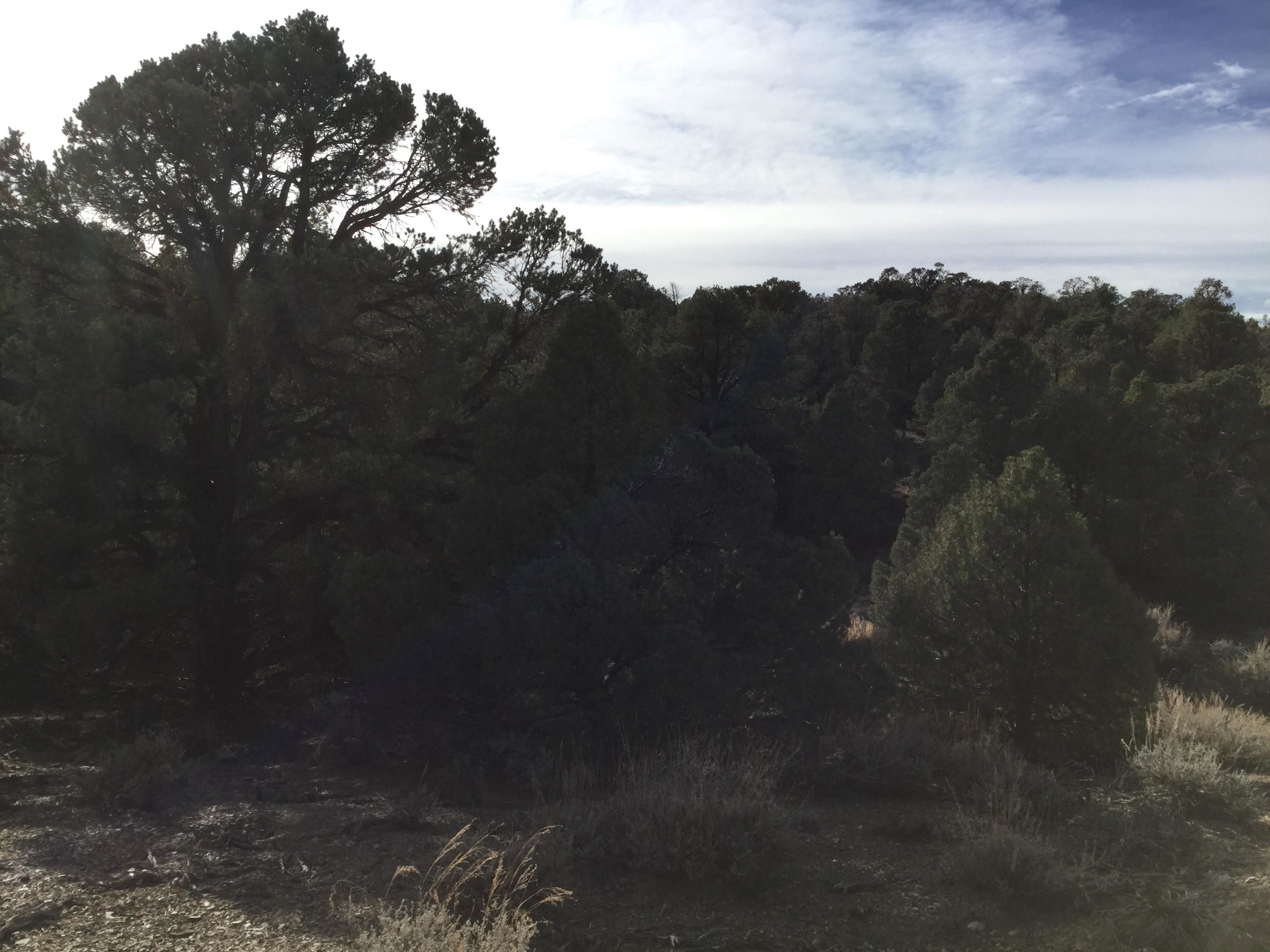 20.66 acres in Lida, NV, 89013 | MLS: Exclusive | LandWatch