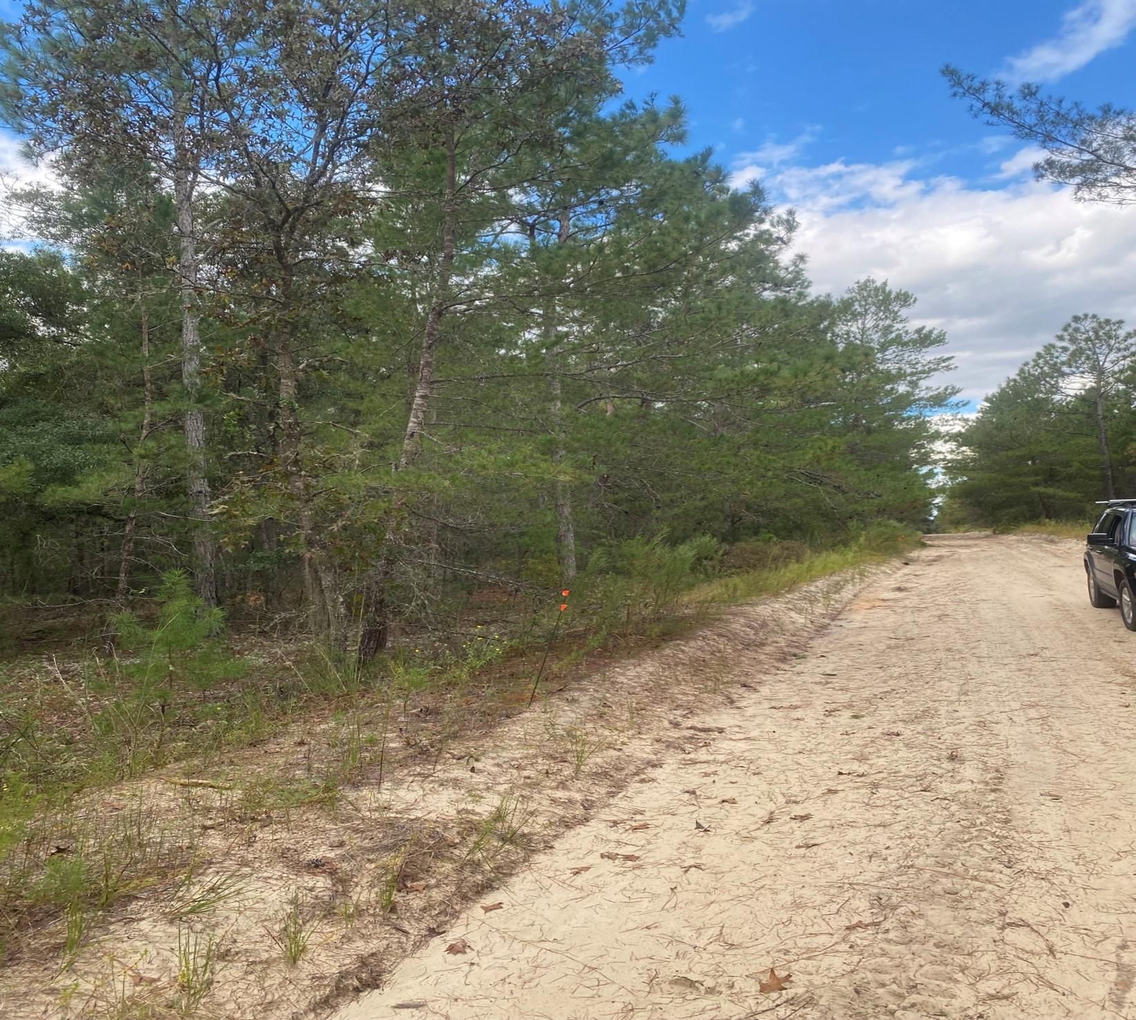221/223 Rustic Rd, Satsuma, FL 32189 | LandWatch