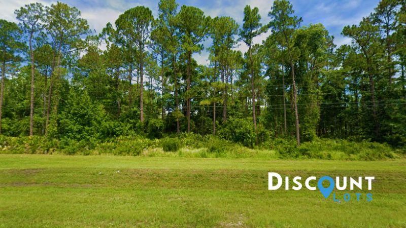 Satsuma, Putnam County, FL Recreational Property, Undeveloped Land ...