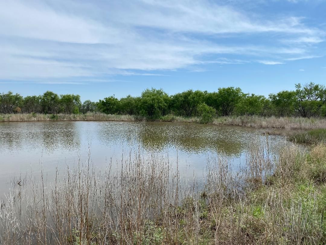 Mullin, Mills County, TX Recreational Property, Undeveloped Land ...