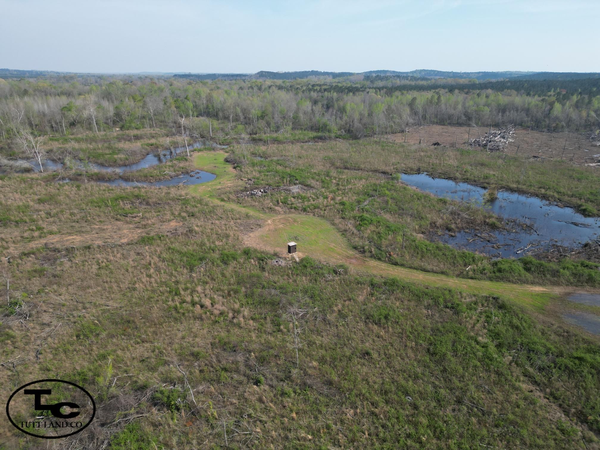 67 acres in Akron, AL, 35441 | LandWatch