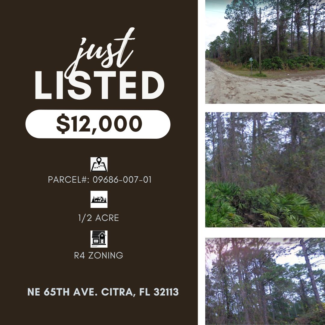 Citra, Marion County, FL Recreational Property, Undeveloped Land ...