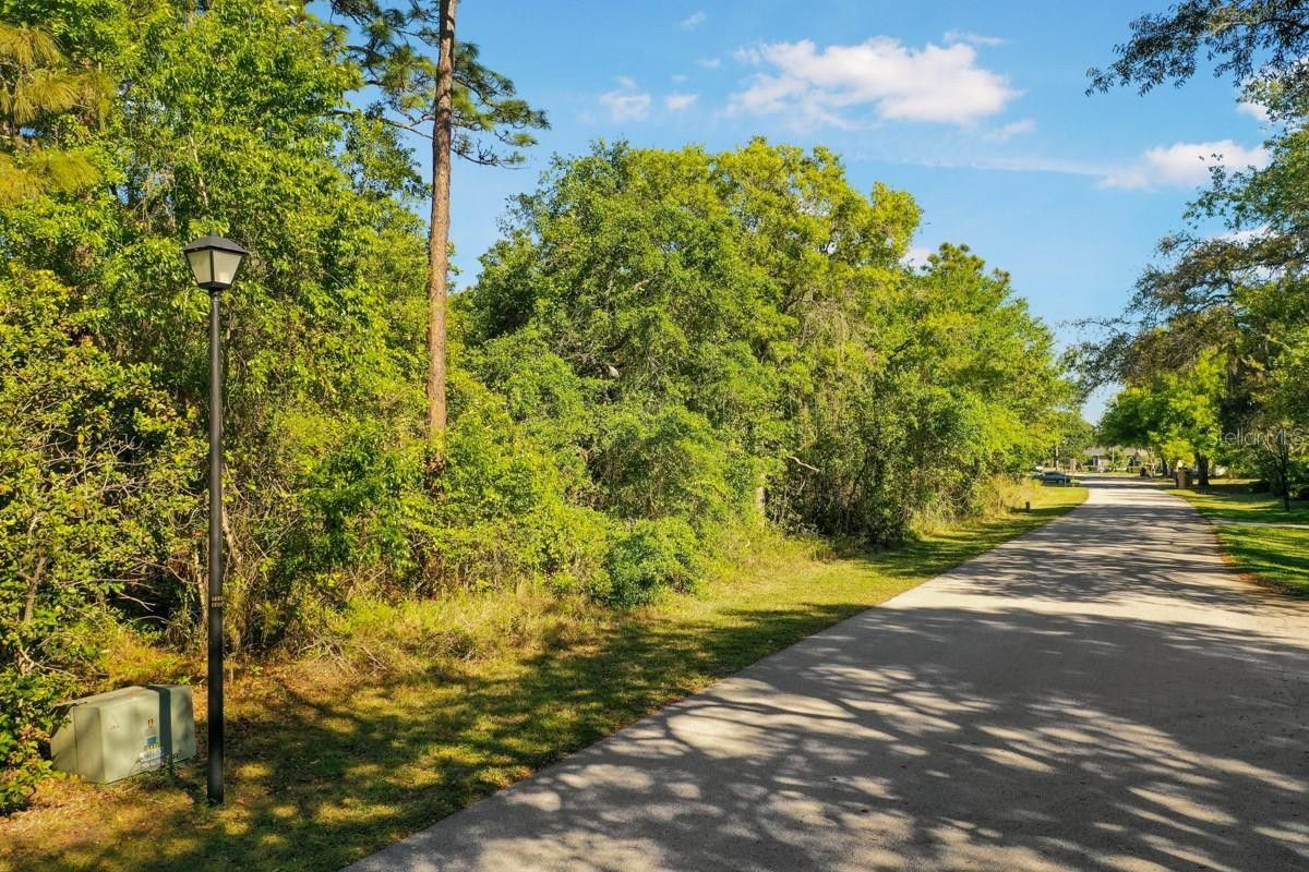 Spring Hill, Pasco County, FL Undeveloped Land, Lakefront Property ...