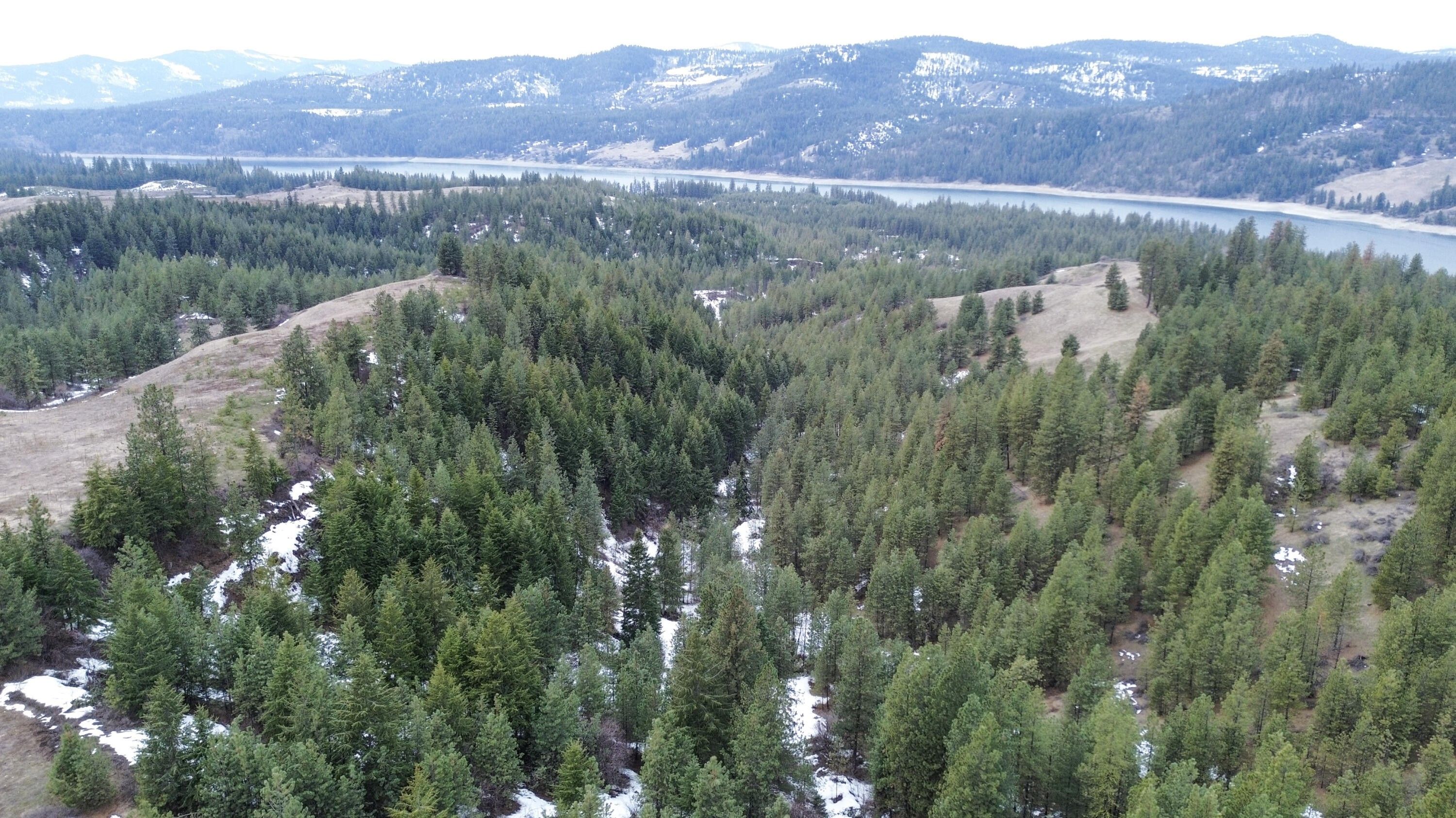 Hunters, Stevens County, WA Undeveloped Land for sale Property ID ...