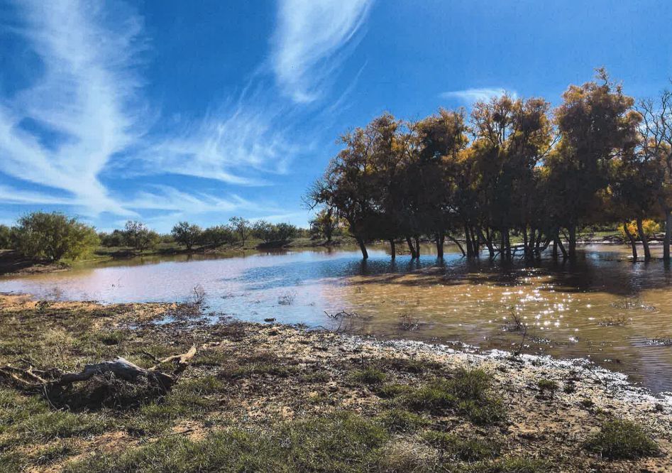 640 acres in Roby, TX, 79543 | LandWatch