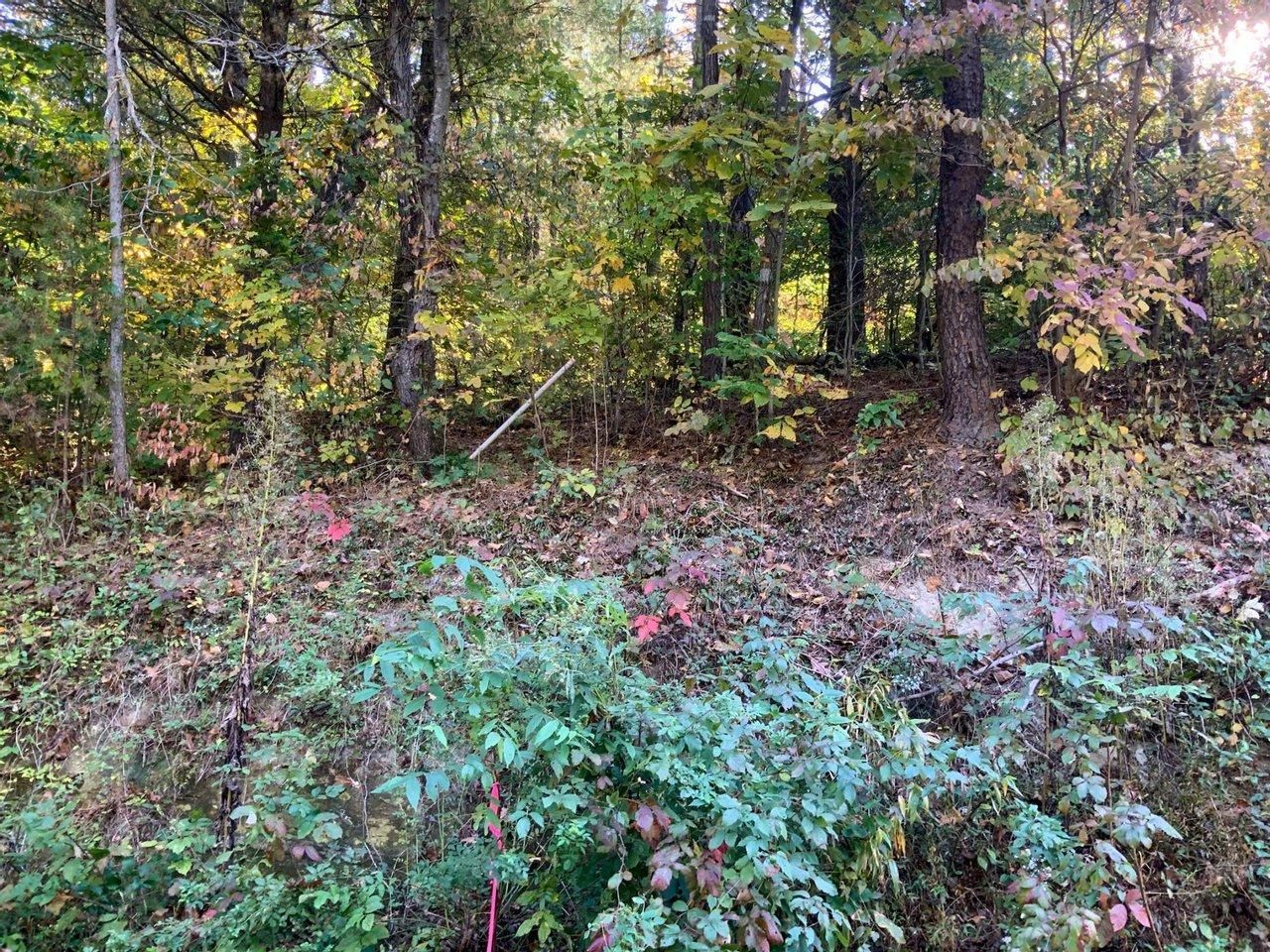 Vinton, Gallia County, OH Recreational Property, Hunting Property for ...