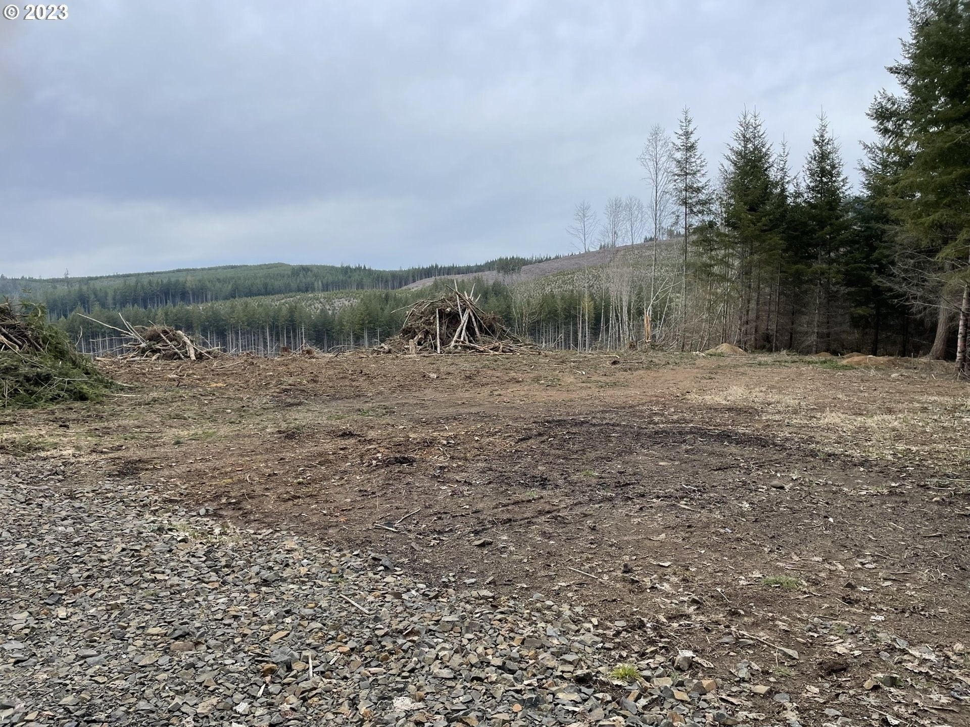 Mossyrock, Lewis County, WA Undeveloped Land for sale Property ID ...