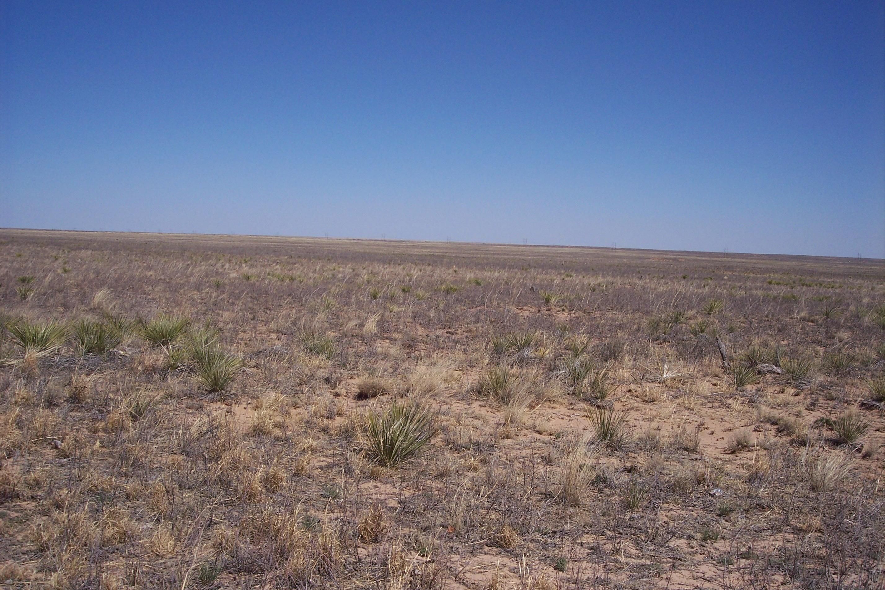 Button Mesa Road, Caprock, NM 88213 | LandWatch