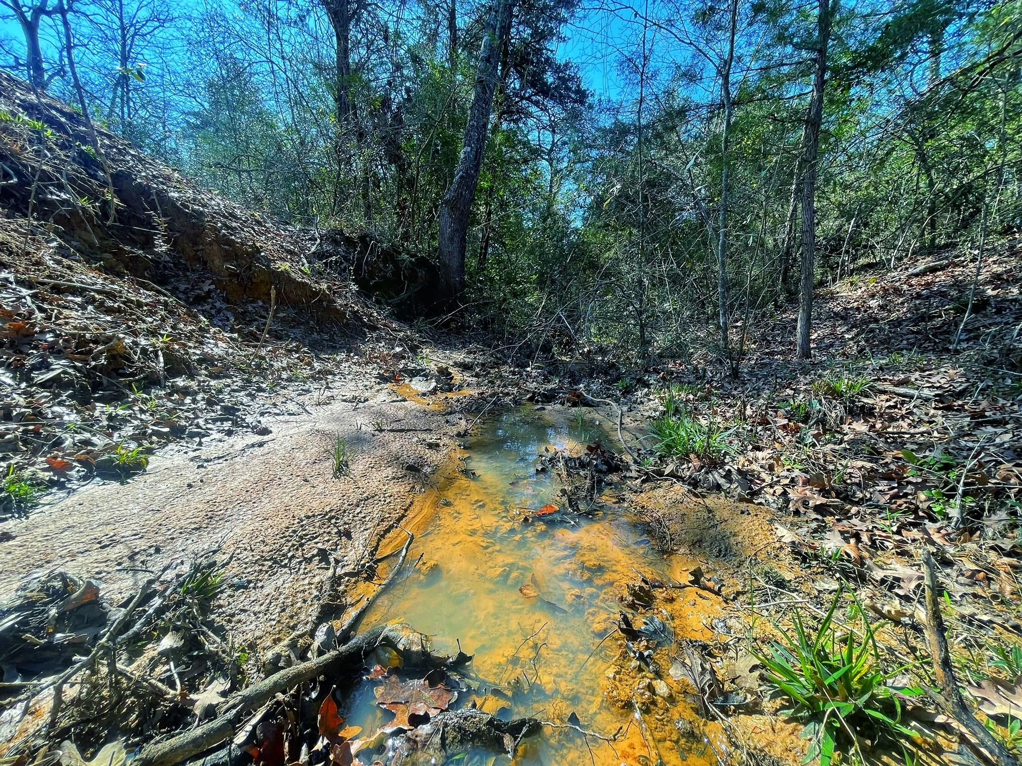 Jewett, Leon County, TX Recreational Property for sale Property ID ...