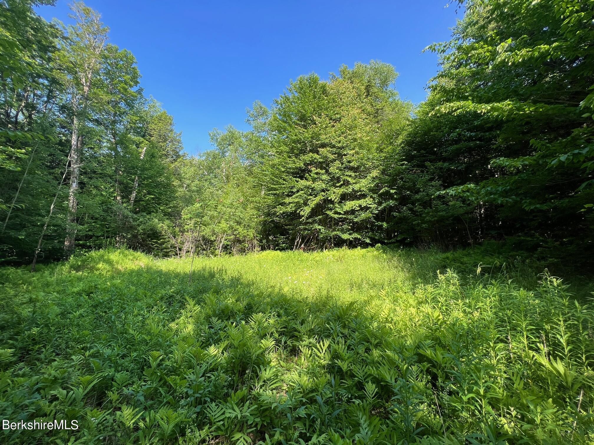 Peru, Berkshire County, MA Farms and Ranches, Homesites for sale ...