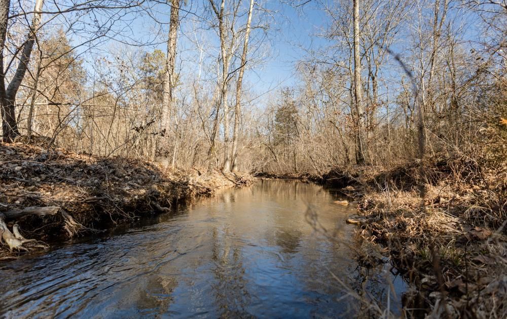 Mill Spring, Wayne County, MO Recreational Property, Hunting Property ...