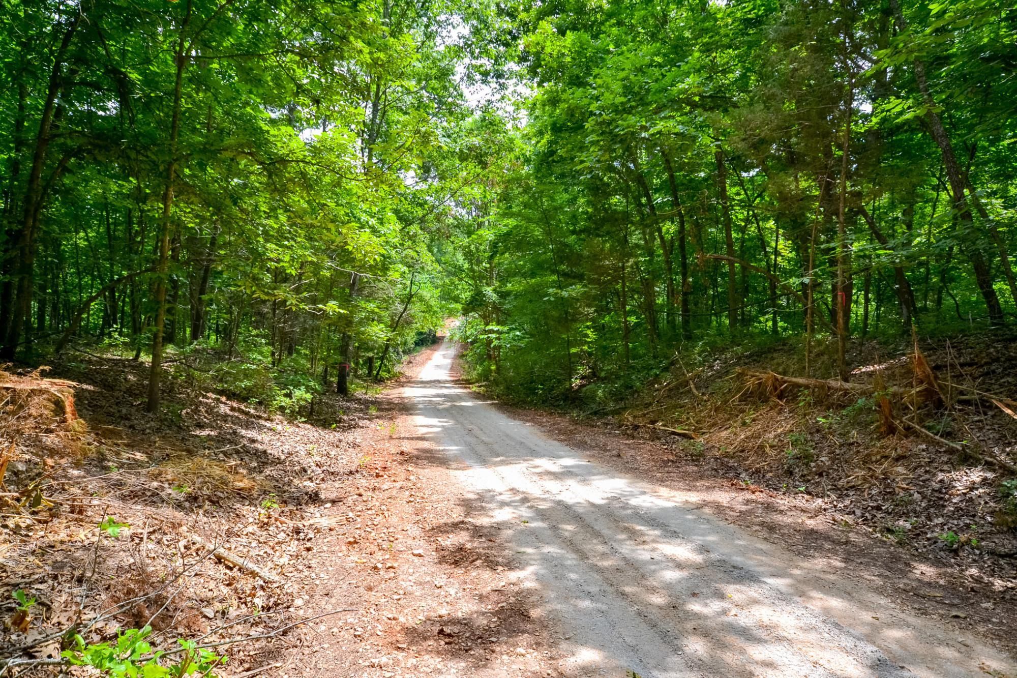 000 Union Ridge Road, Clever, MO 65631 | MLS: Stone 10 | LandWatch