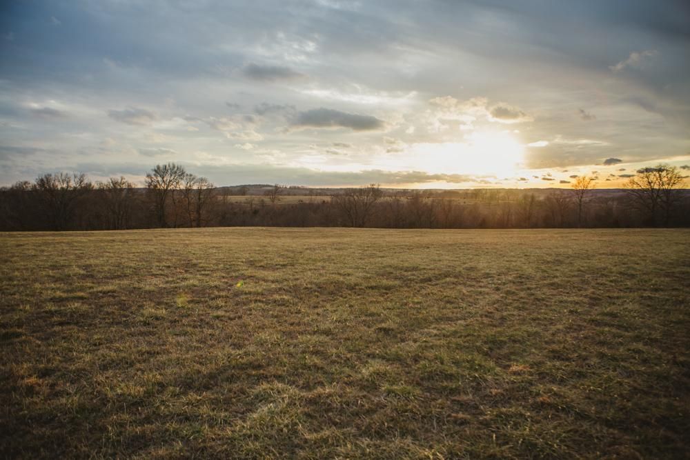 Mountain Grove, Texas County, MO Farms and Ranches, Recreational ...
