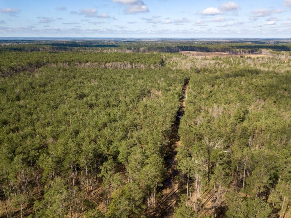 Rison, Cleveland County, AR Recreational Property, Timberland Property ...