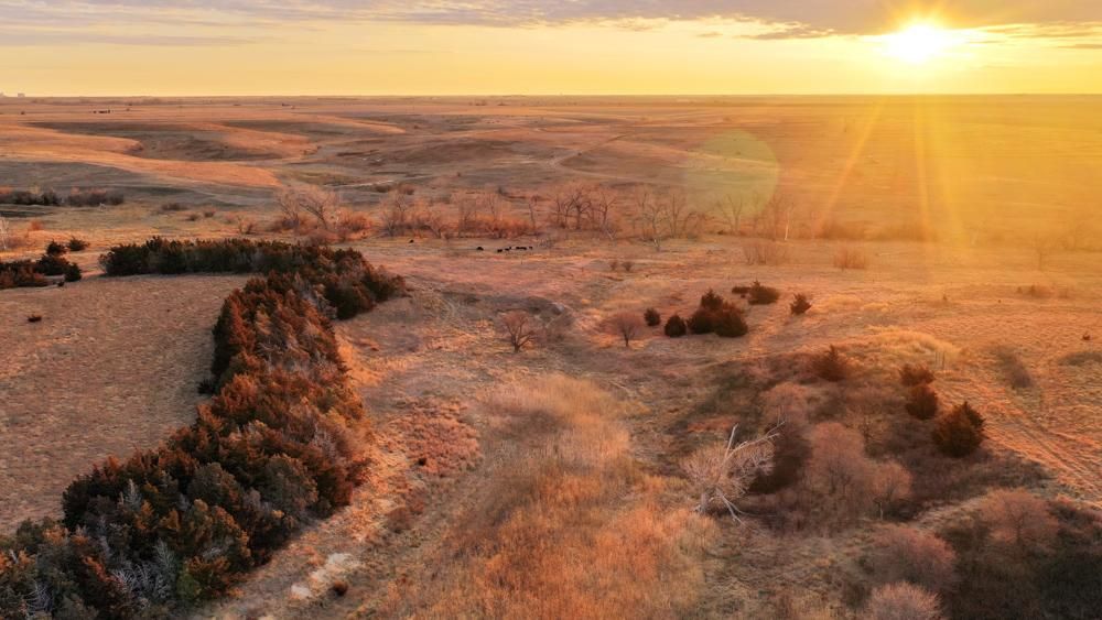 00000 D Road, Bogue, KS 67625 | MLS: Graham 319 | LandWatch