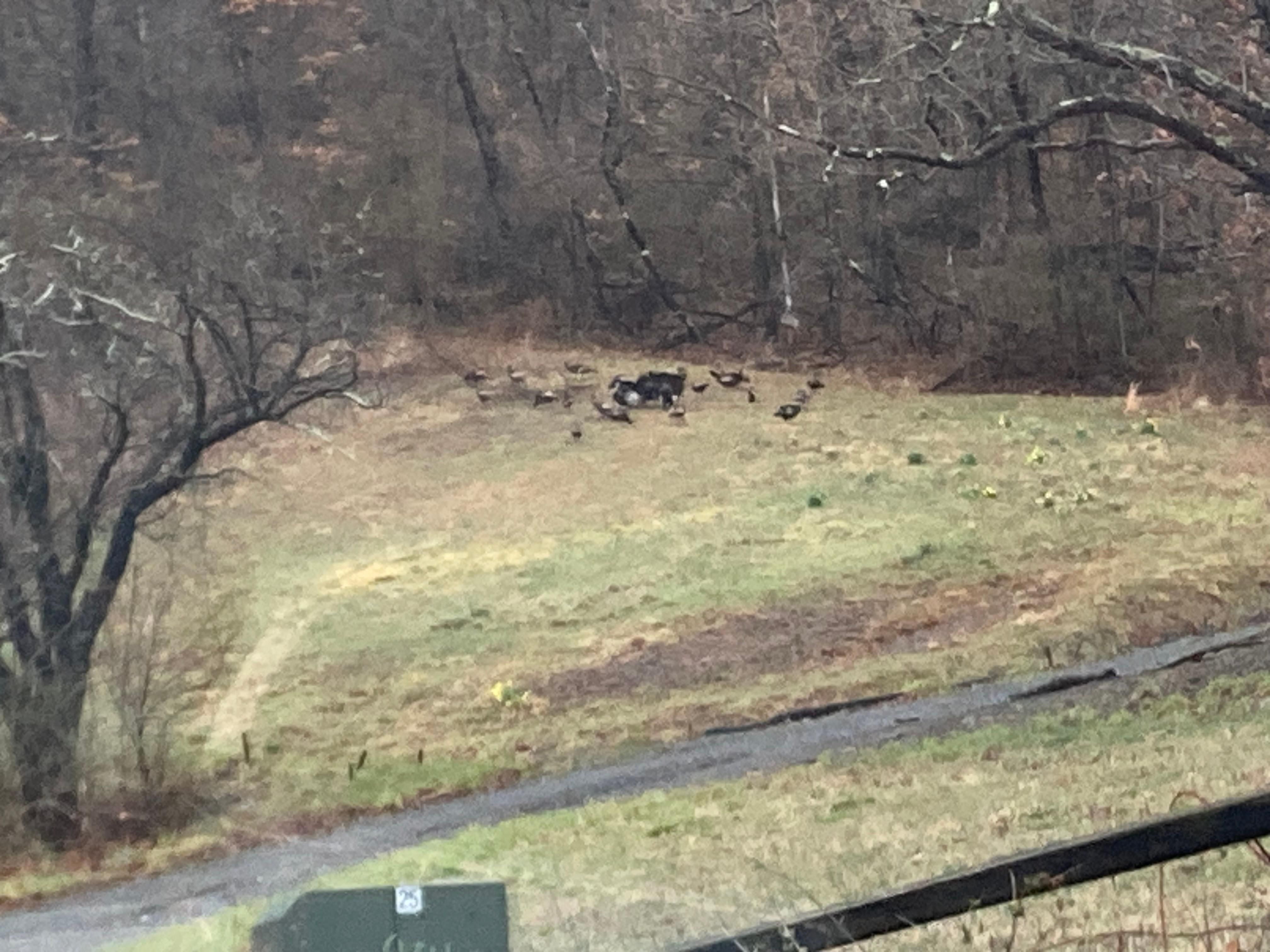 Hyndman, Bedford County, PA Recreational Property, Hunting Property ...