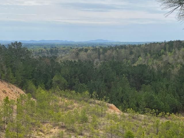 Riverside, Saint Clair County, AL Recreational Property, Undeveloped ...