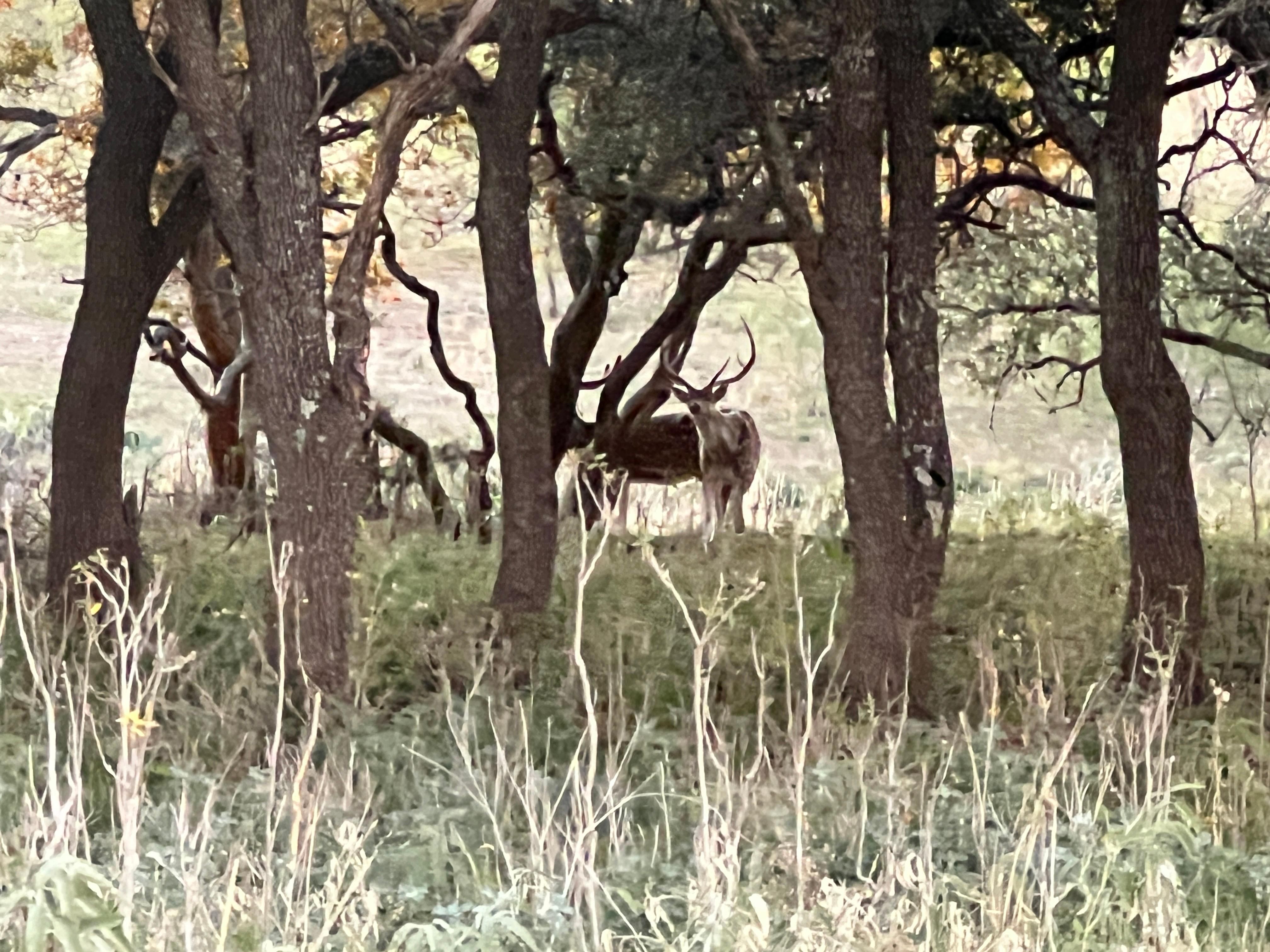 34.81 acres in Rocksprings, TX, 78880 | LandWatch