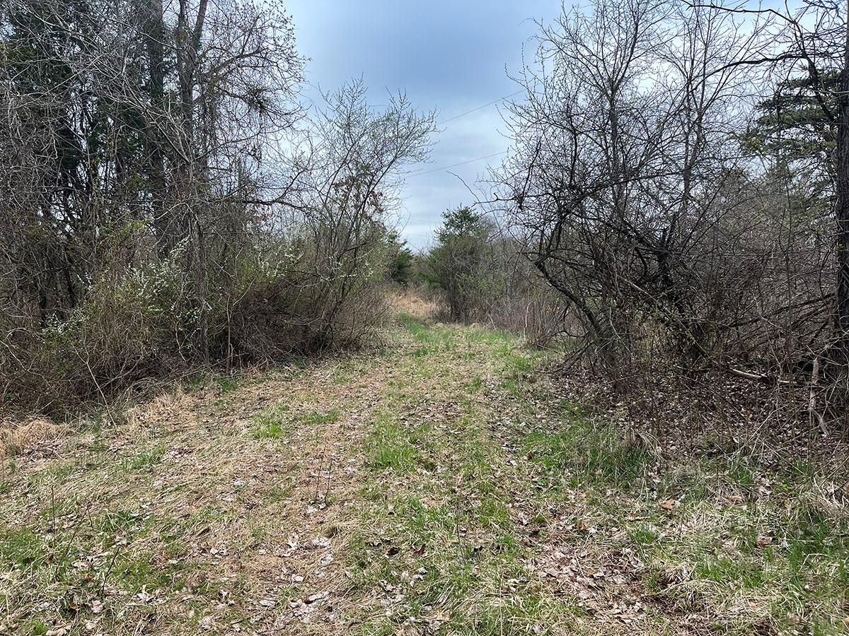 Portland, Meigs County, OH Timberland Property, Hunting Property for ...