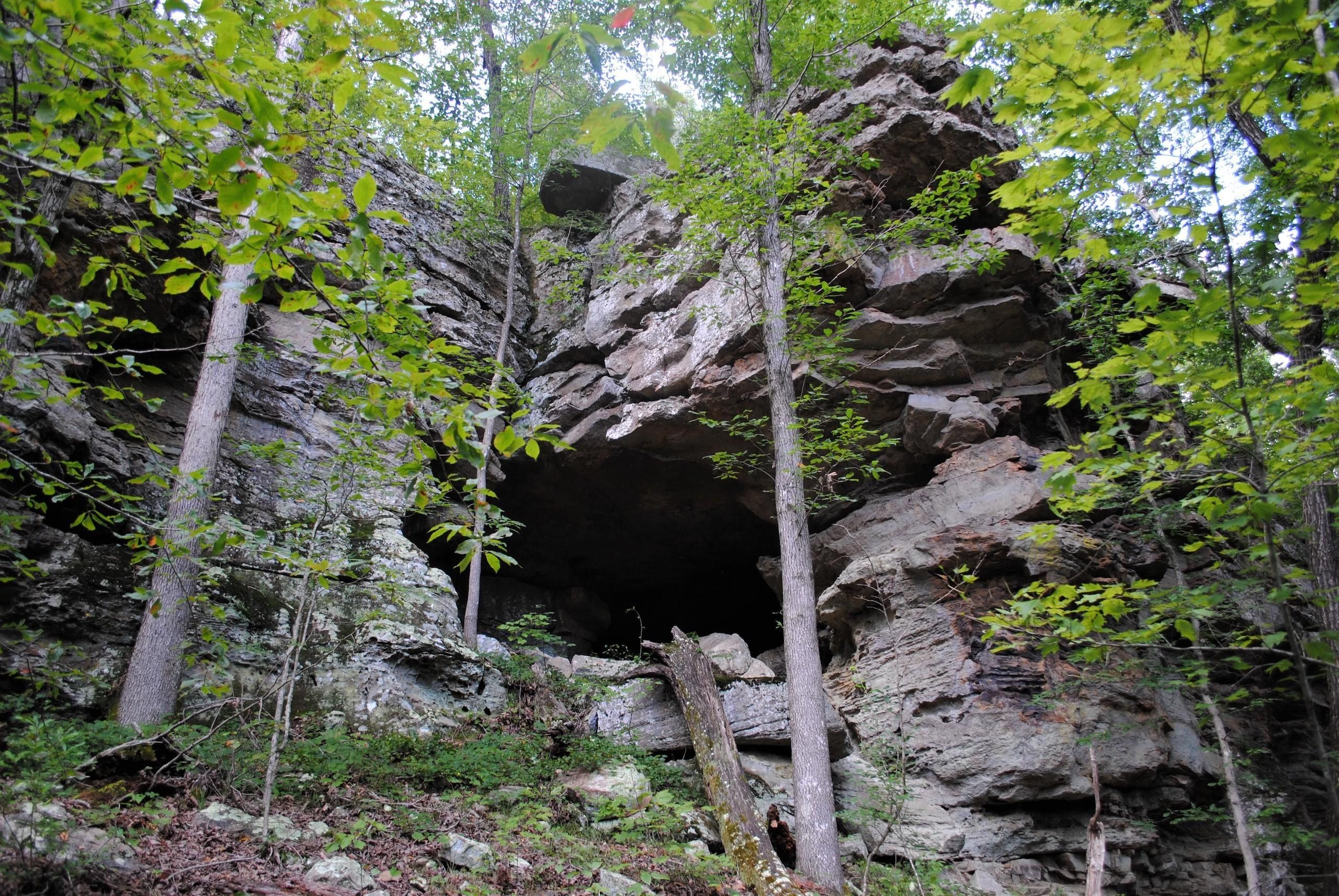 Alread, Van Buren County, AR Farms and Ranches, Hunting Property for ...