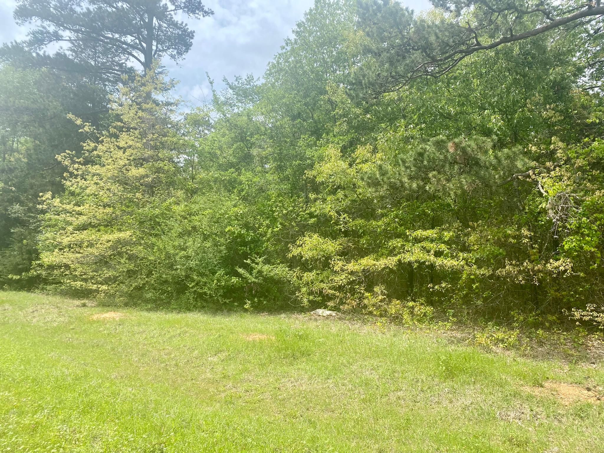 TBD State Hwy 43 N, Marshall, TX 75672 | MLS: 20231744 | LandWatch