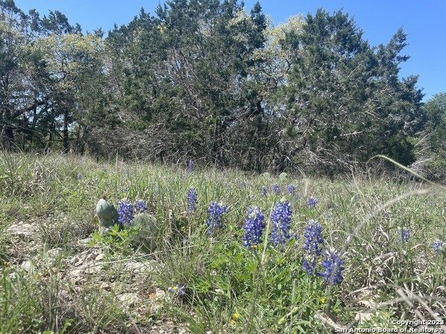Spring Branch, Comal County, TX Farms and Ranches, Homesites for sale ...