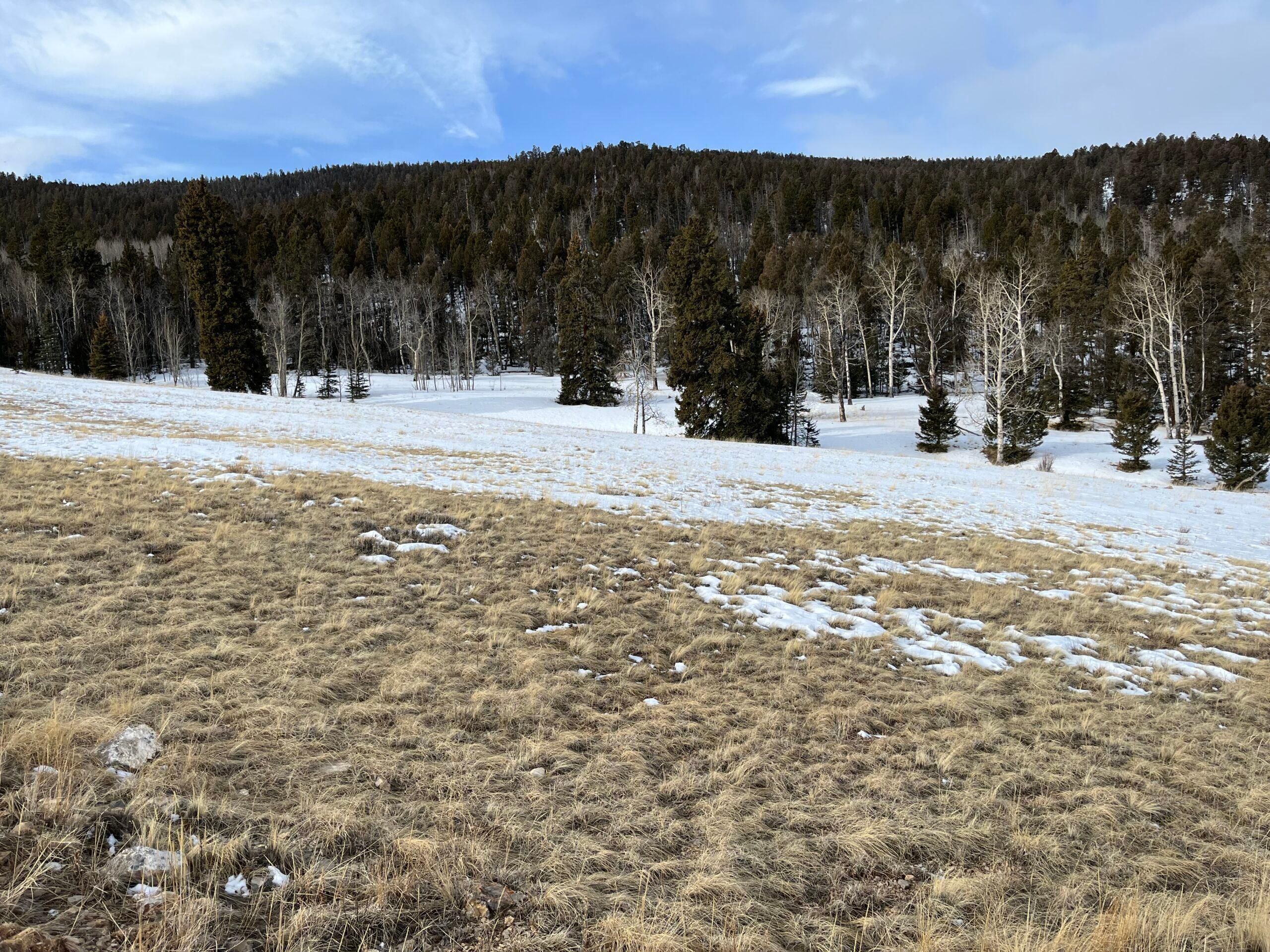 Hartsel, Park County, CO Recreational Property, Hunting Property for ...