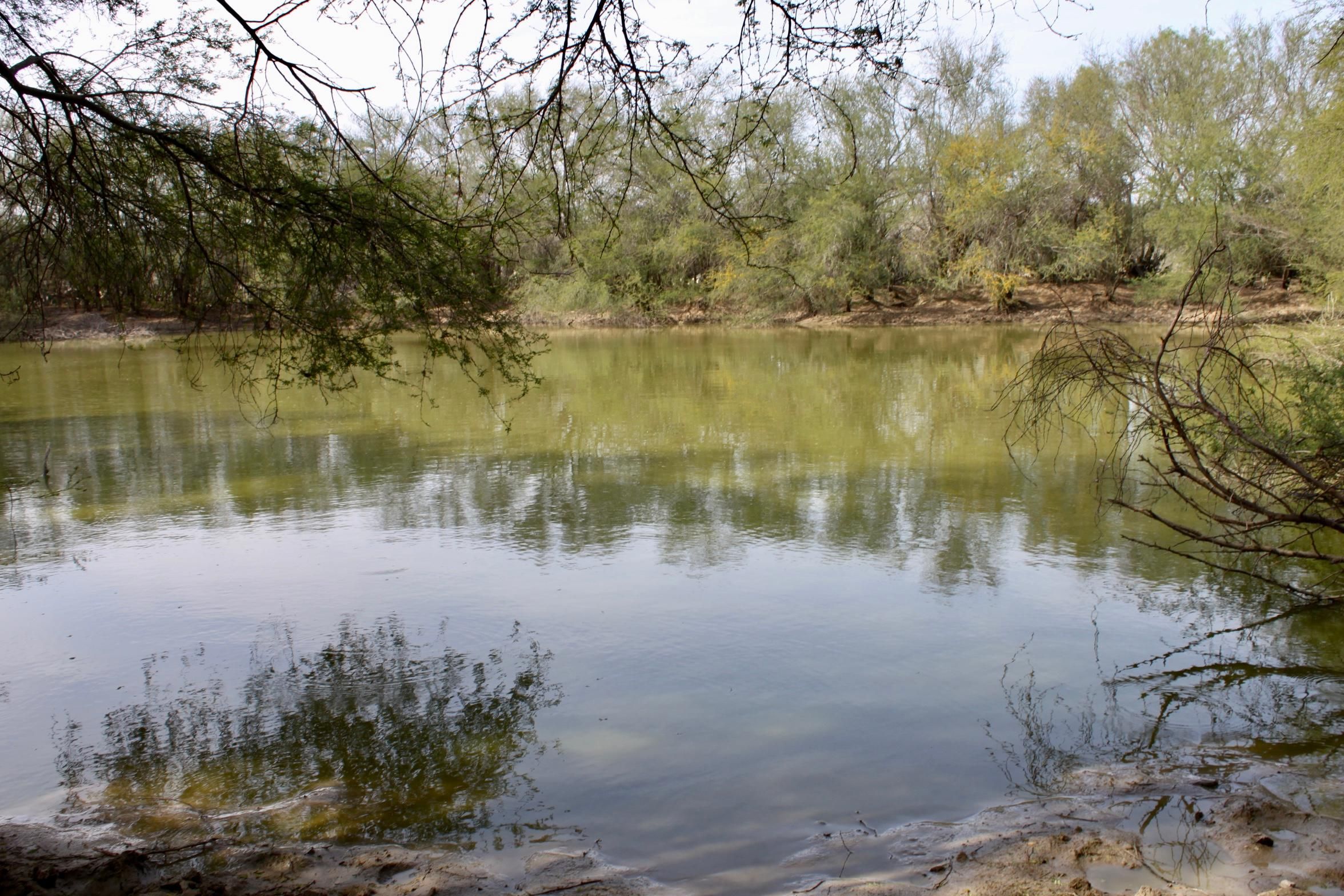 180 acres in Rio Grande City, TX, 78582 | LandWatch