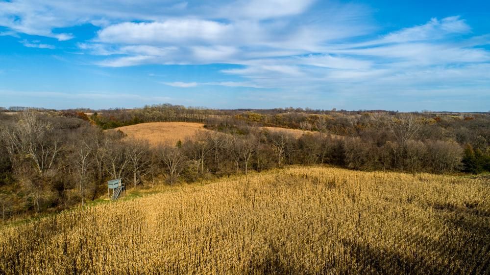 0000 105th St., Grand River, IA 50108 | MLS: Decatur 225 | LandWatch