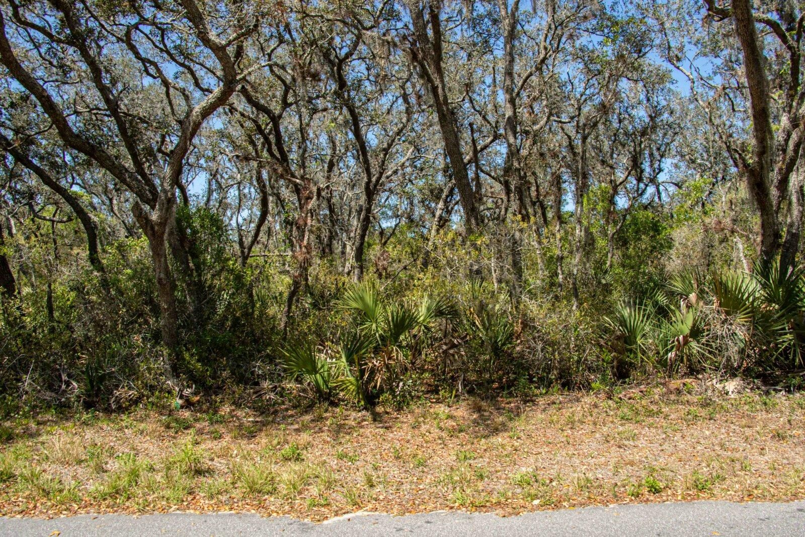 Sebring, Highlands County, FL Homesites for sale Property ID: 416176505 ...