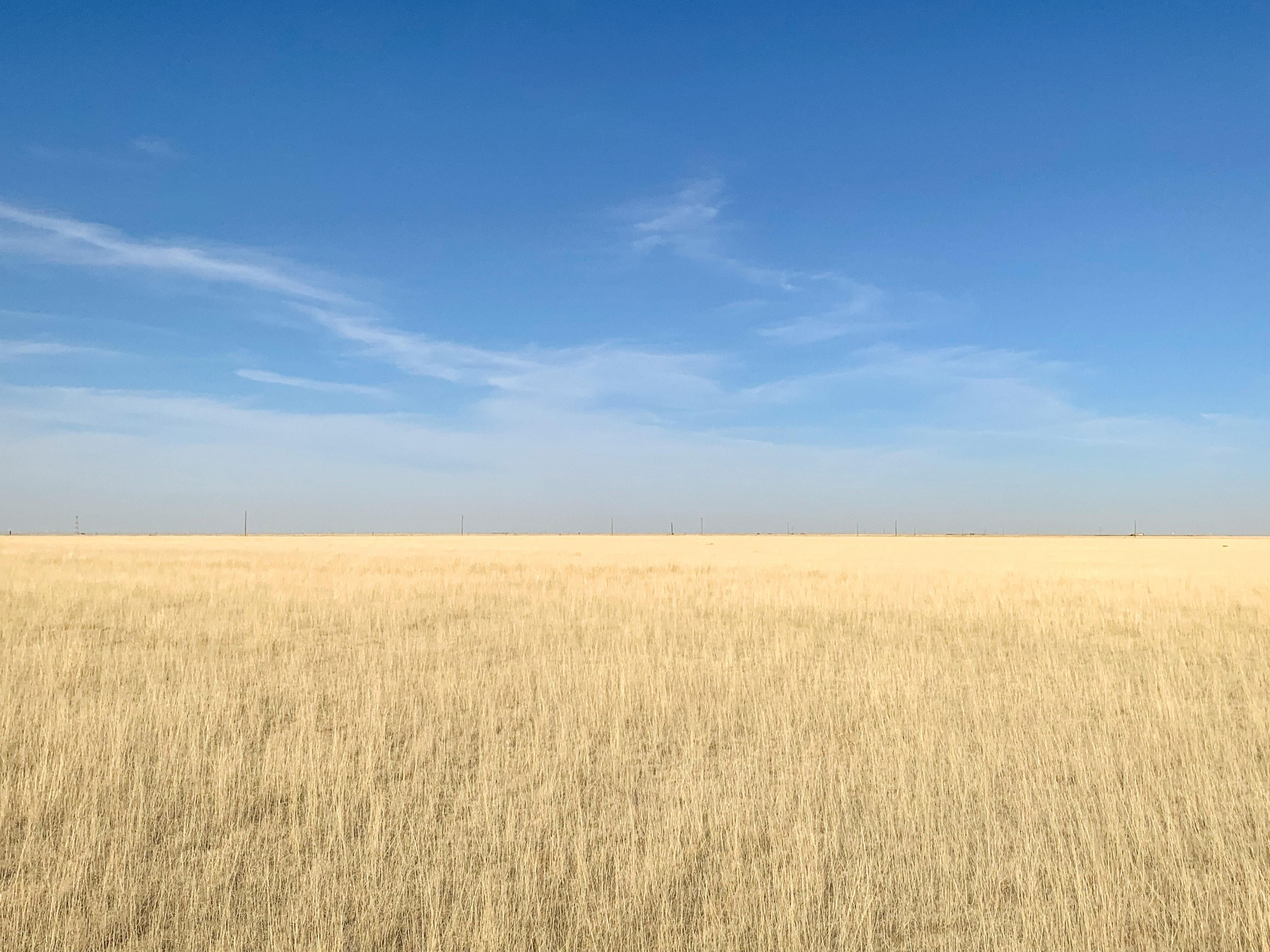 1,436.03 acres in Adrian, TX, 79001 | MLS: 23-2311 | LandWatch