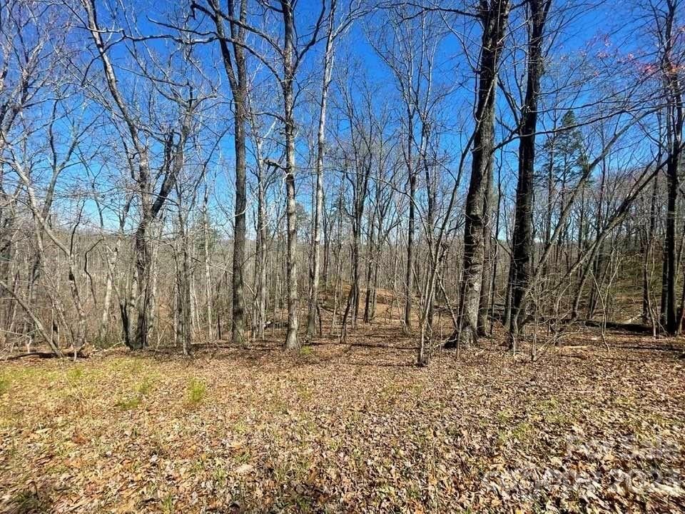 Mill Spring, Polk County, NC Farms and Ranches, Homesites for sale ...