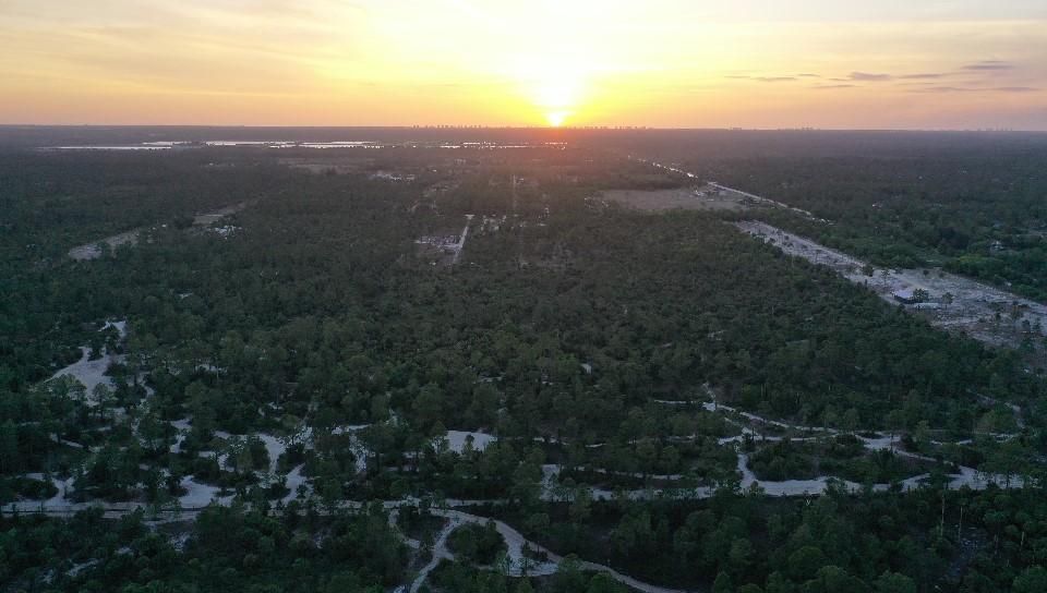 Naples, Collier County, FL Recreational Property, Undeveloped Land for ...