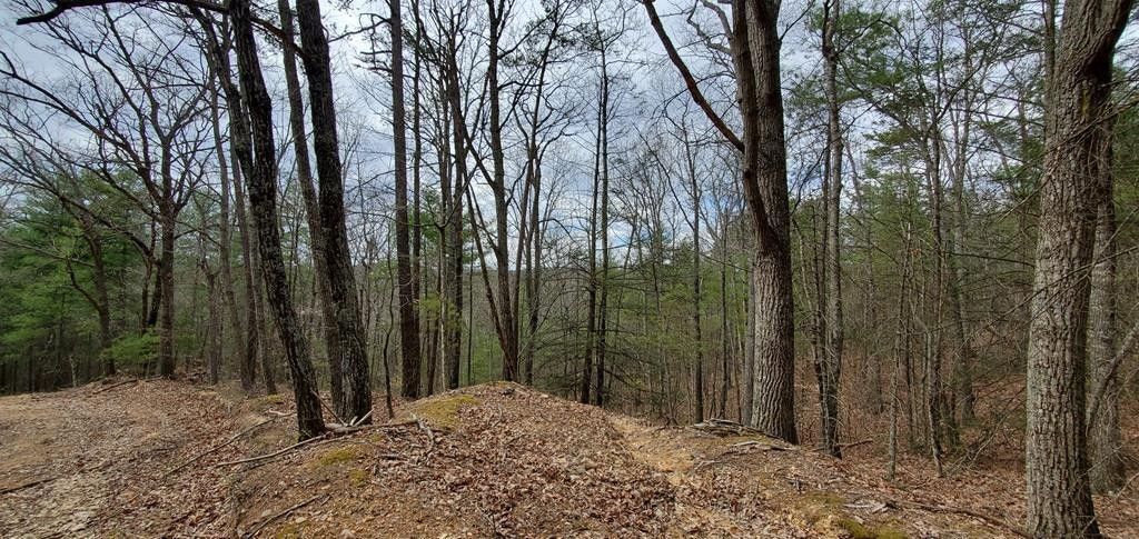Max Meadows, Wythe County, VA Farms and Ranches, Lakefront Property ...