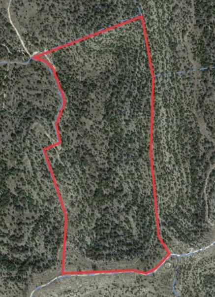 Rocksprings, Edwards County, TX Farms and Ranches, Recreational ...