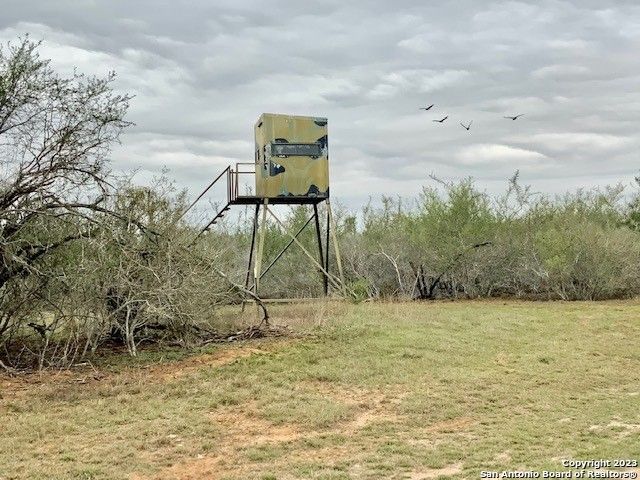 Alice, Duval County, TX Farms and Ranches, House for sale Property ID ...