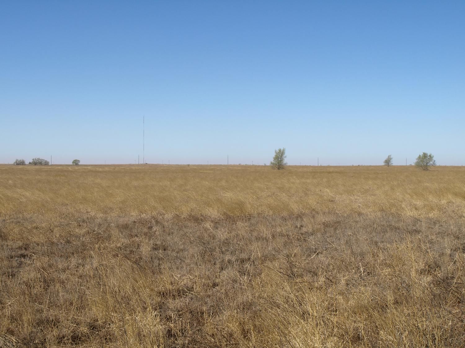 Amherst, Lamb County, TX Farms and Ranches, Undeveloped Land for sale ...