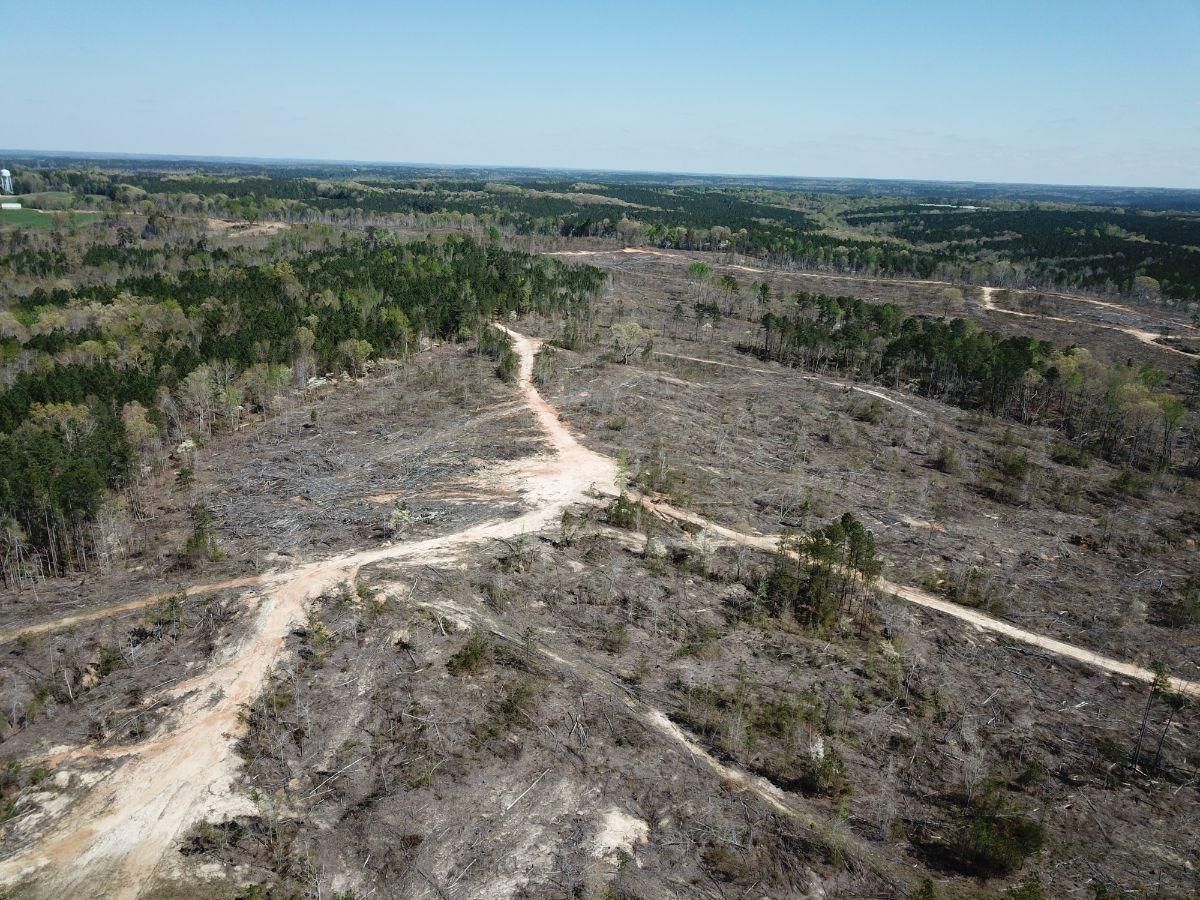 143 acres in Blair, SC, 29015 | LandWatch