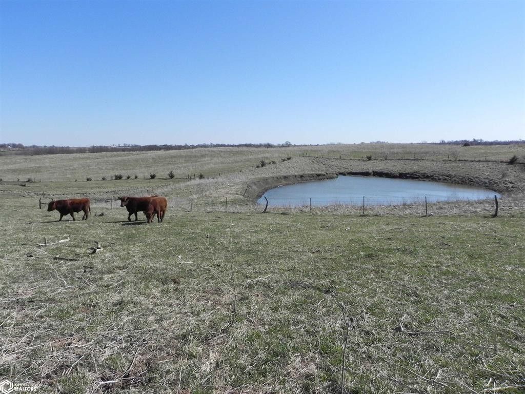 Bedford, Taylor County, IA Farms and Ranches for sale Property ID ...