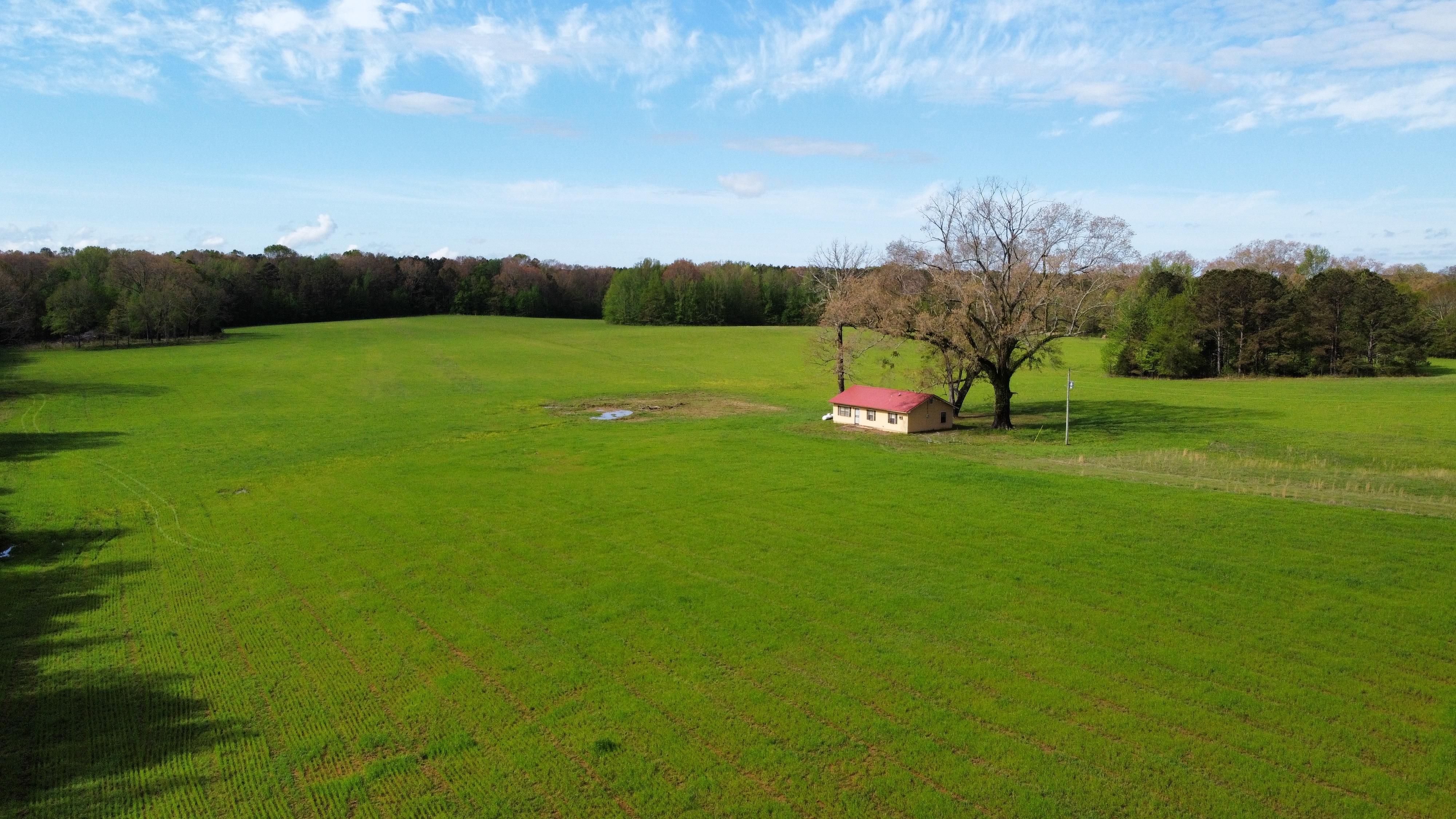 50 acres in Pickens, MS, 39146 | LandWatch