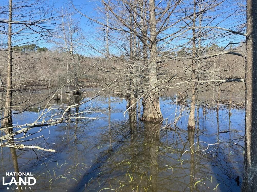 Rowell Road, Rowell, AR 71665 | LandWatch