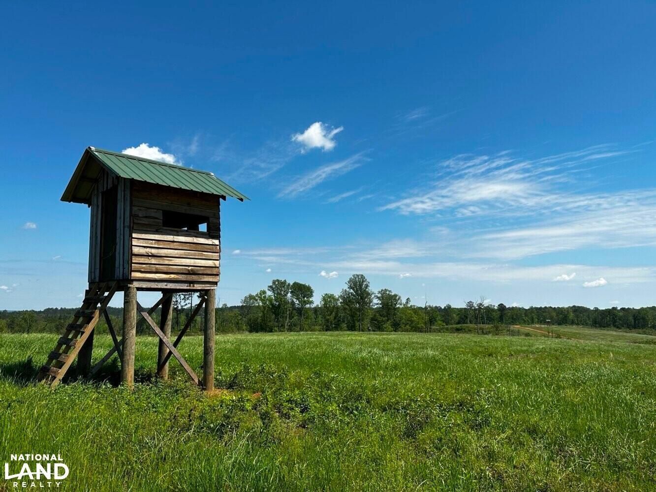 00 County Road 31, Paulding, MS 39348 | LandWatch