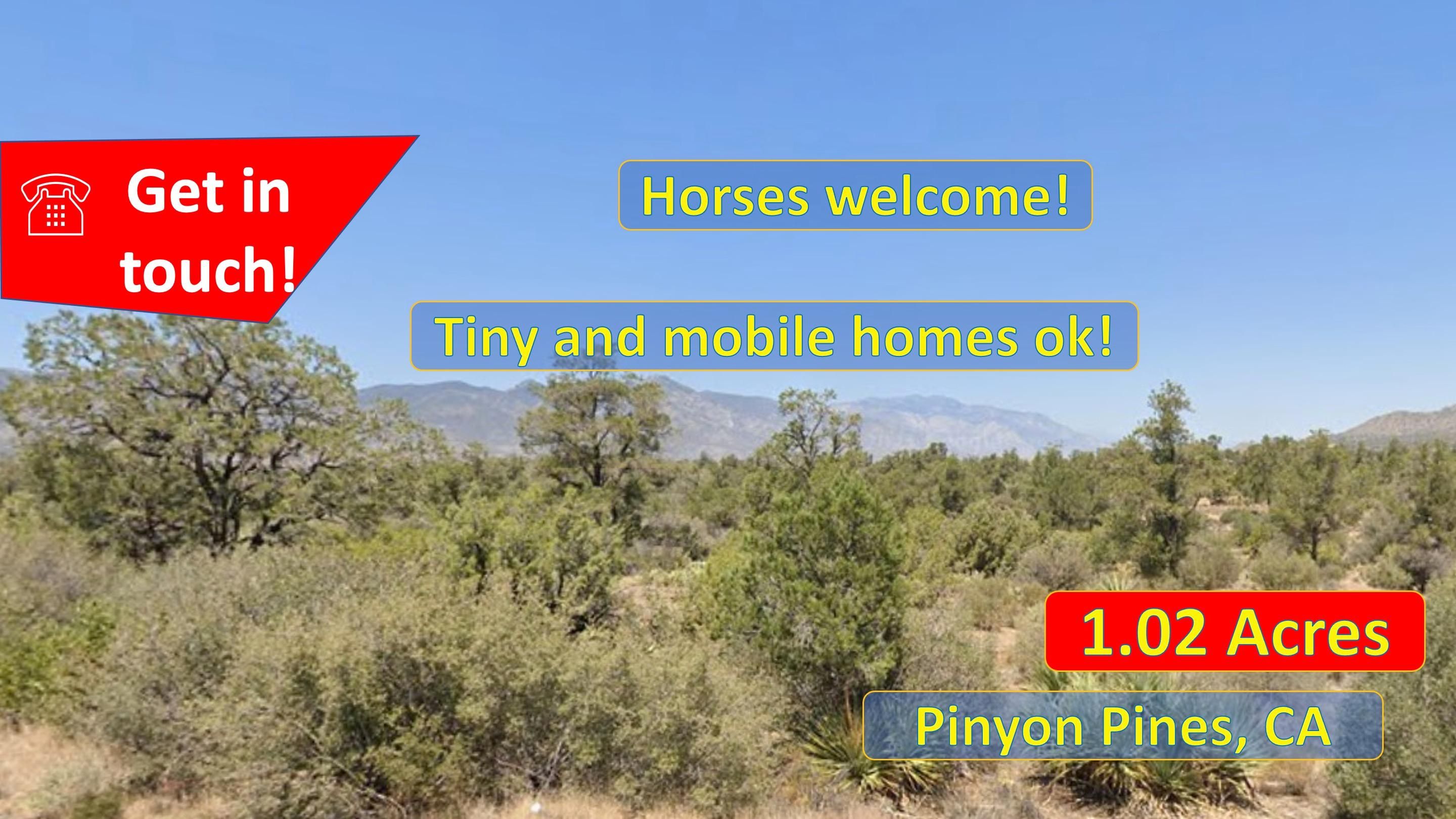 61305 Chaumont, Mountain Center, CA 92561 | LandWatch