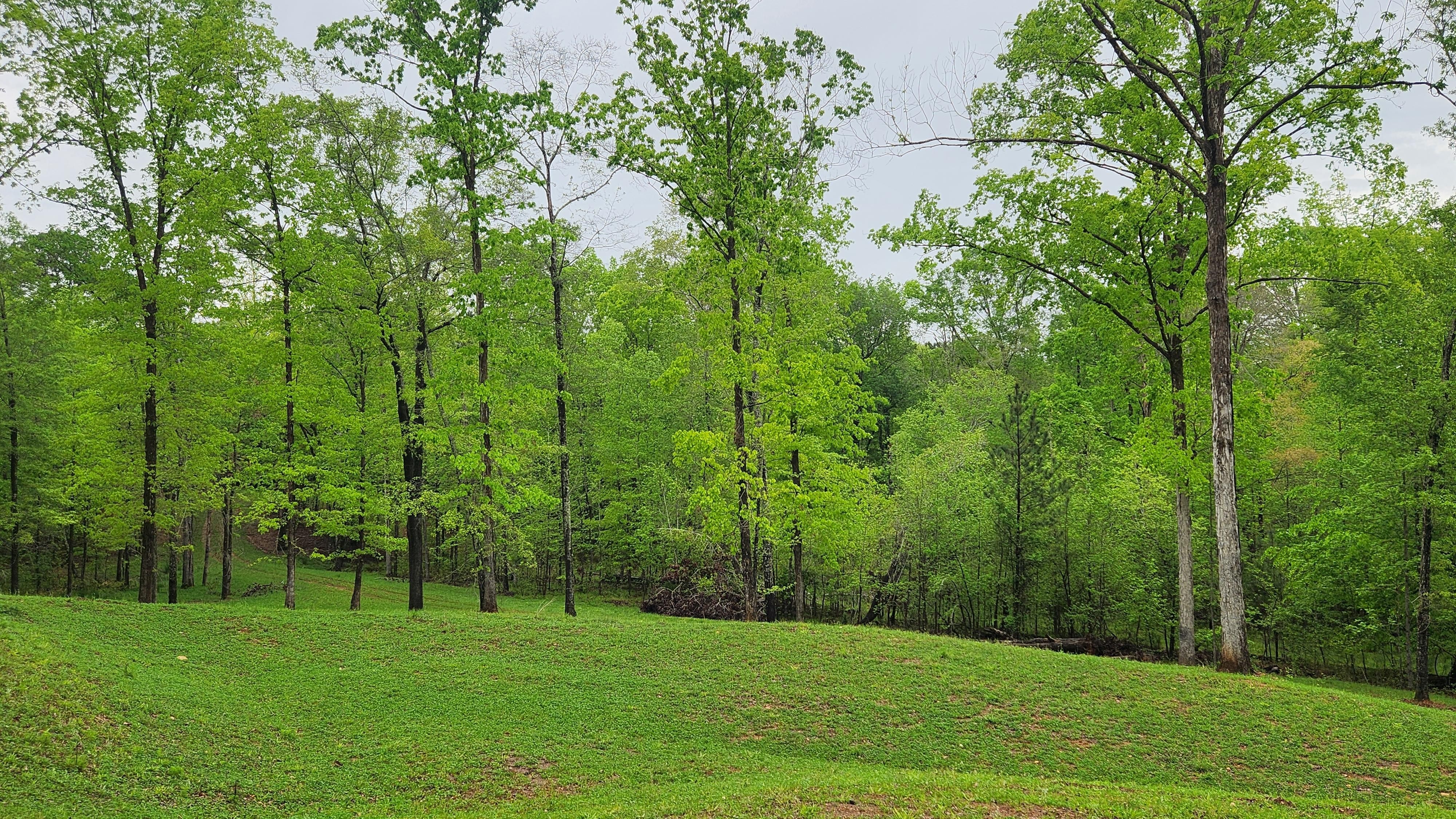Lawrence Road, Molena, GA 30258 | LandWatch