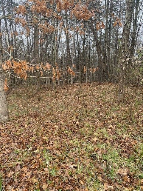 Walker, Wood County, WV Undeveloped Land, Homesites for sale Property ...