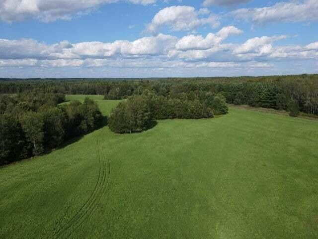 Marion, Osceola County, MI Farms and Ranches, Lakefront Property ...